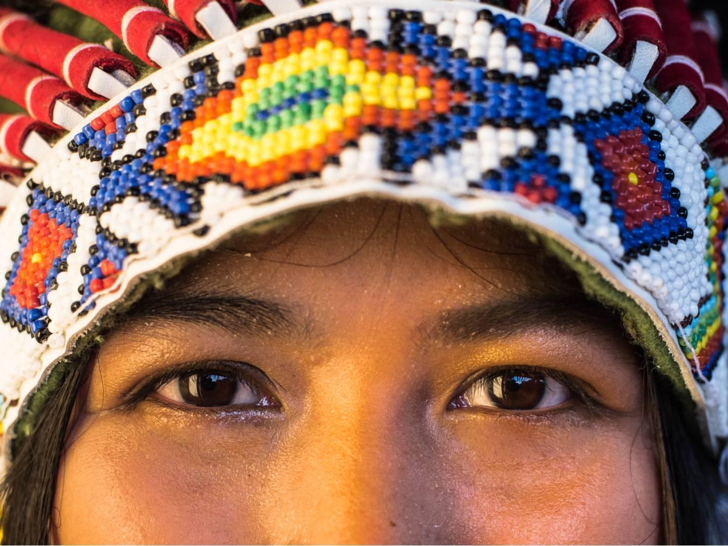 Cimicifuga | oktal-pharma.hr